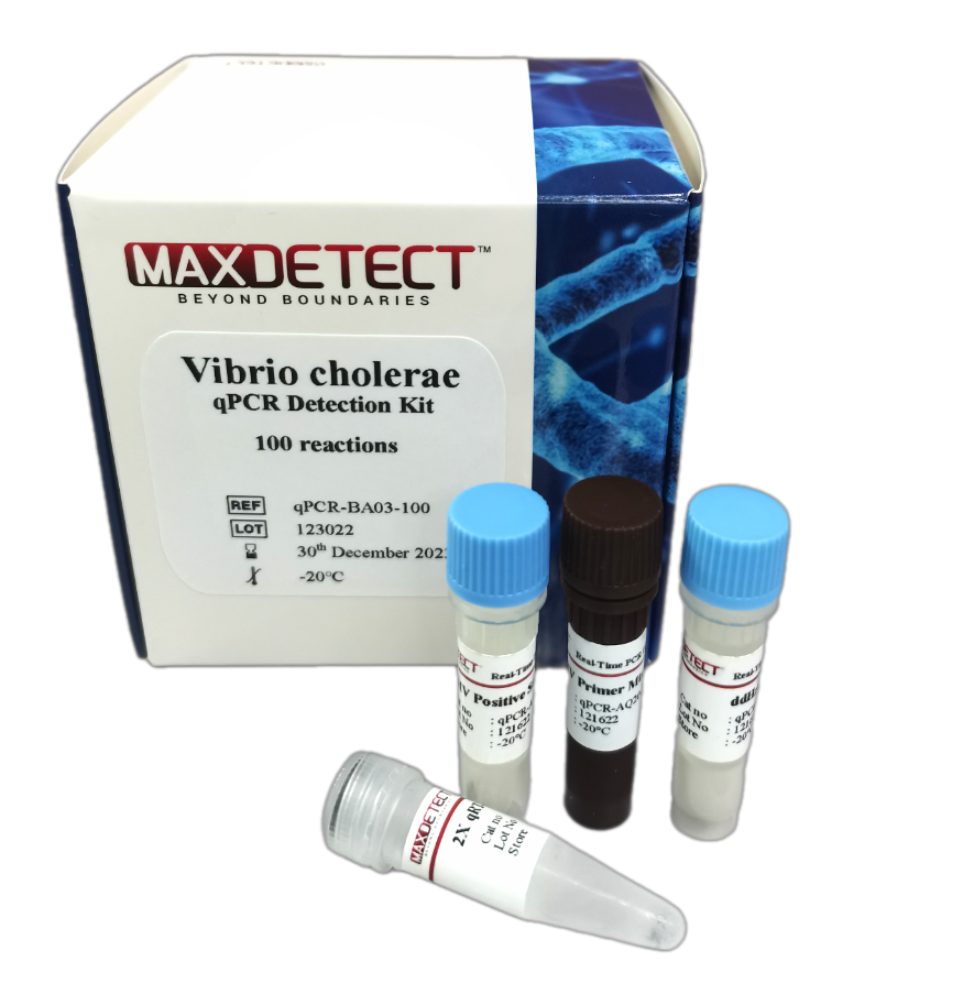 MaxDetect Vibrio Cholerae qPCR Detection Kit